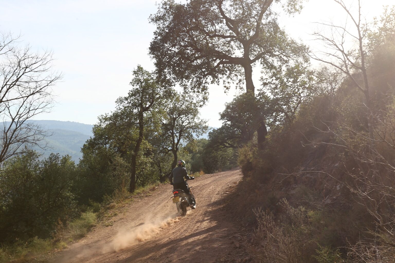 Novas Triumph 400cc: testamos Speed e Scrambler 400 | Mobilidade ...